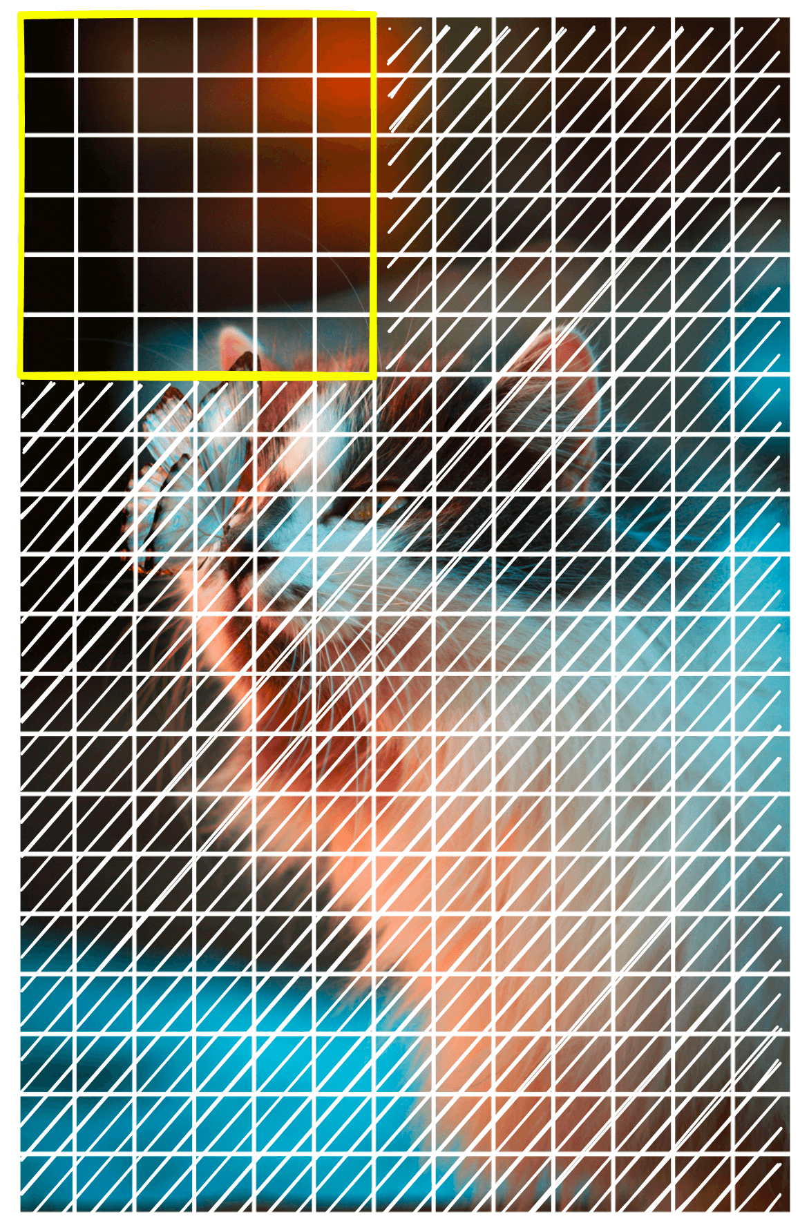 Zero Shot Object Detection With Openais Clip Pinecone