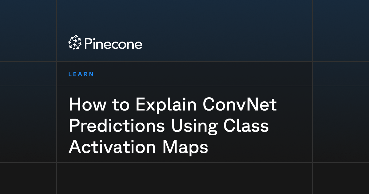 How To Explain Convnet Predictions Using Class Activation Maps Pinecone